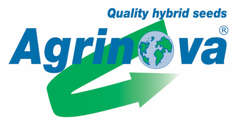 Semences maraîchères en Côte d’Ivoire - Semivoire